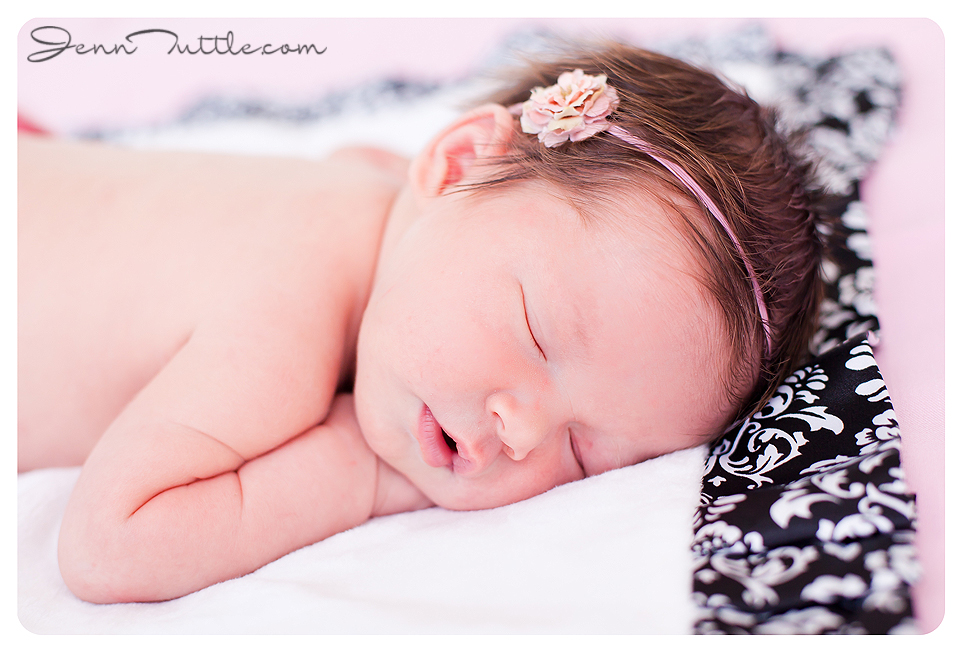 Gorgeous little Blue Berry: Southern California Newborn Photographer ...
