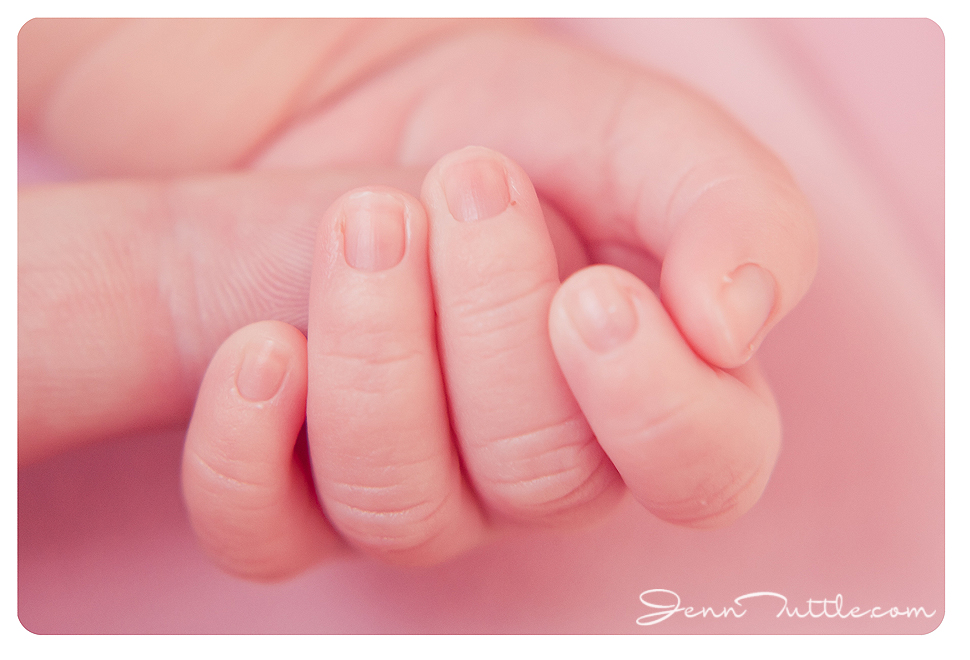 Gorgeous little Blue Berry: Southern California Newborn Photographer ...