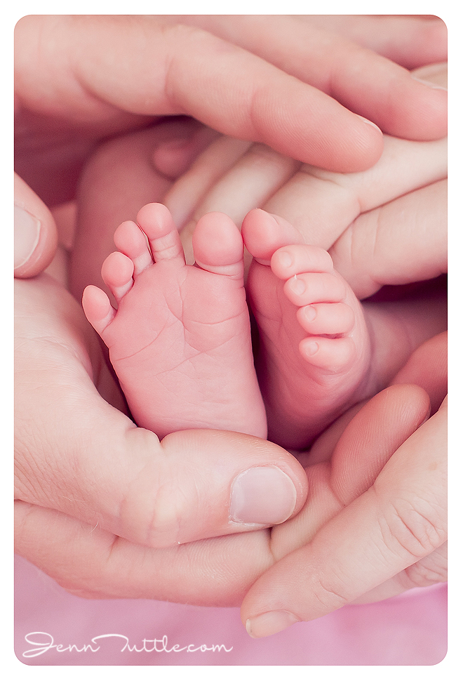 Gorgeous little Blue Berry: Southern California Newborn Photographer ...