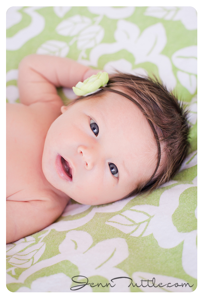 Gorgeous little Blue Berry: Southern California Newborn Photographer ...