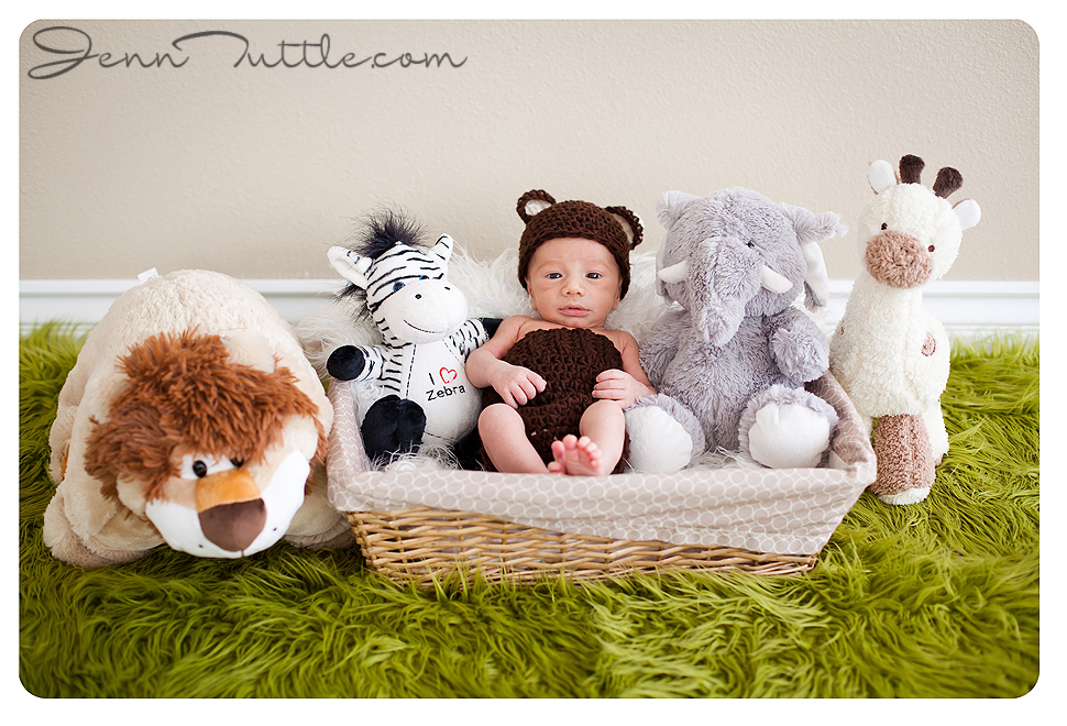 Little Bear: Southern California Newborn Photographer » Jenn Tuttle ...