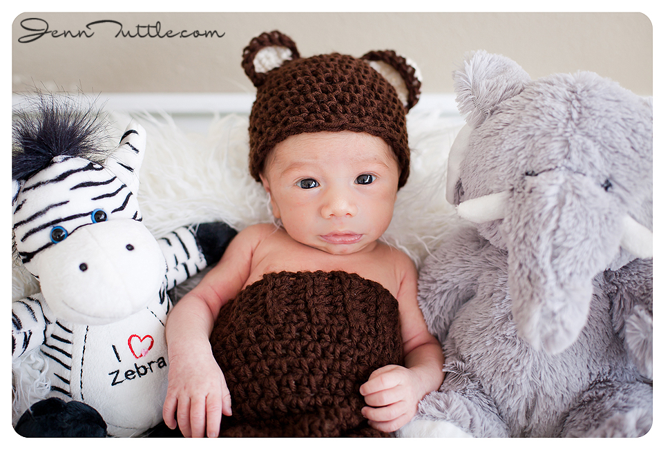 Little Bear: Southern California Newborn Photographer » Jenn Tuttle ...