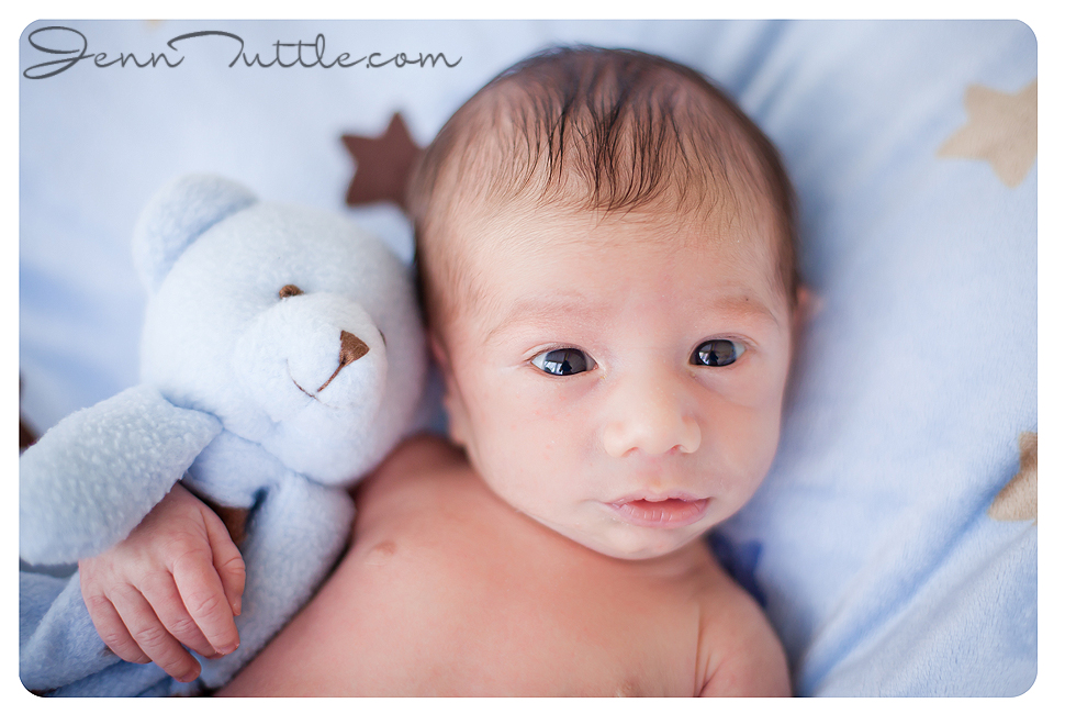 Little Bear: Southern California Newborn Photographer » Jenn Tuttle ...