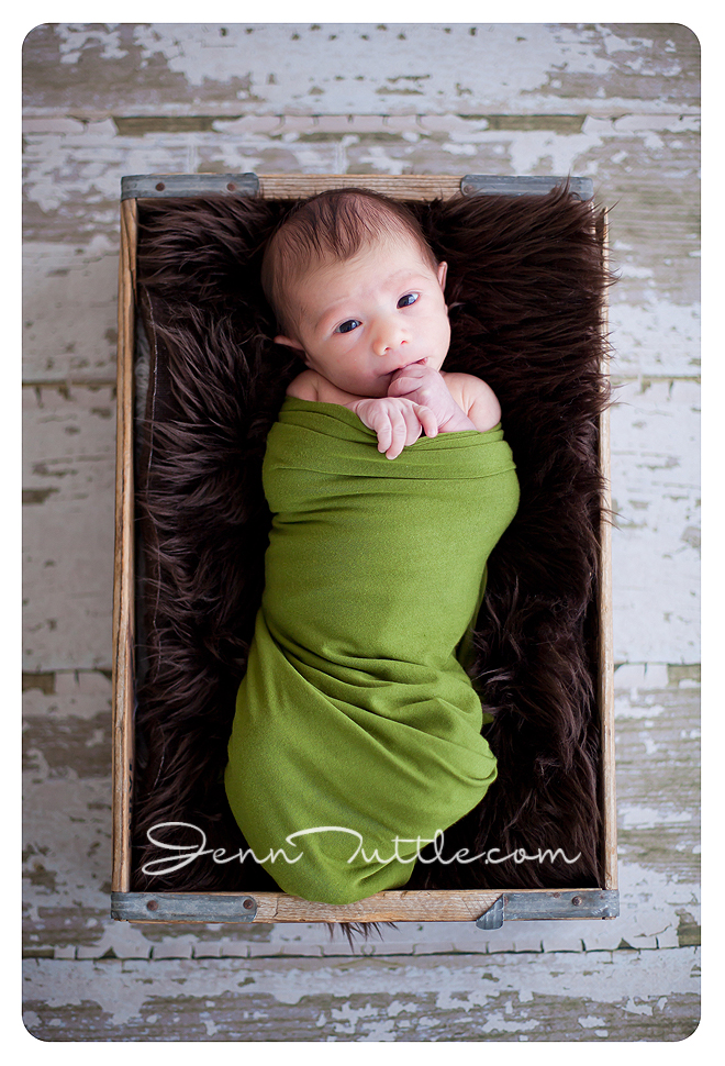 Little Bear: Southern California Newborn Photographer » Jenn Tuttle ...