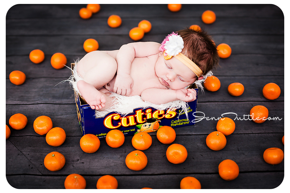 Cutie Harlie: Southern California Newborn Photographer » Jenn Tuttle ...