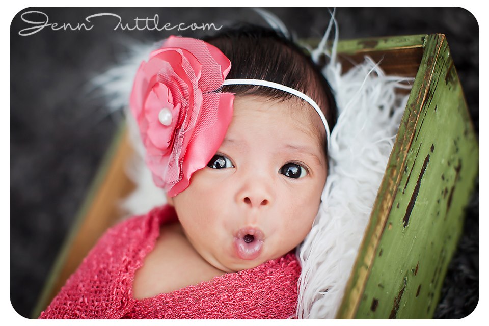 Jenn’s Best of 2013: Southern California Photographer » Jenn Tuttle ...