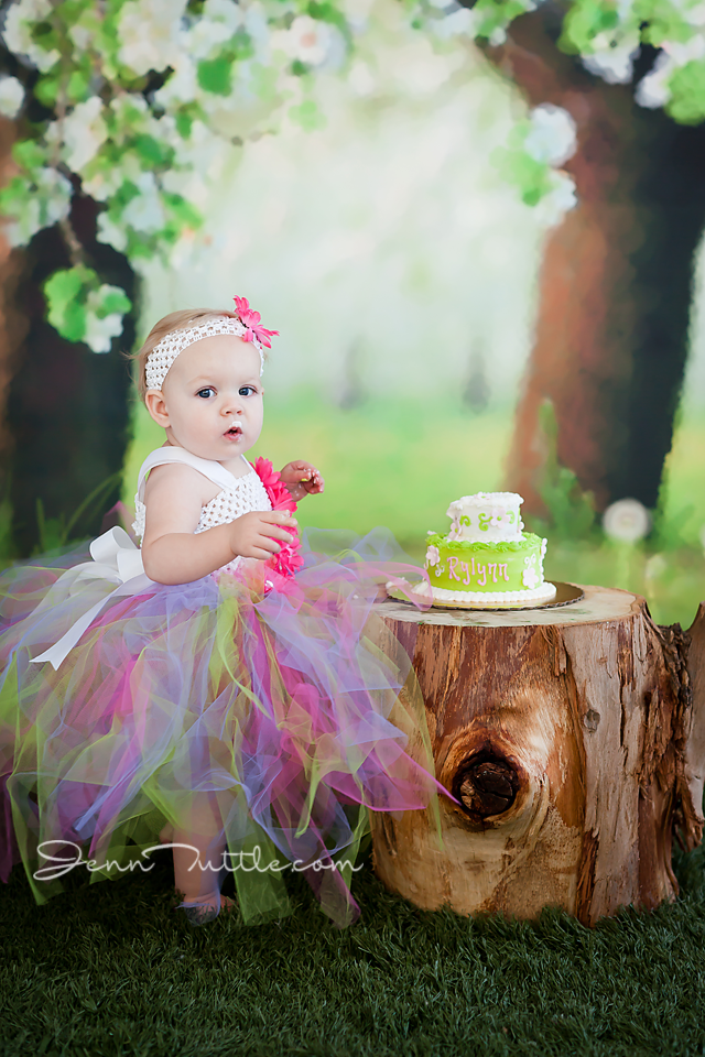 Mish Mash Smash Cake Catch Up: Southern California Baby Photographer ...
