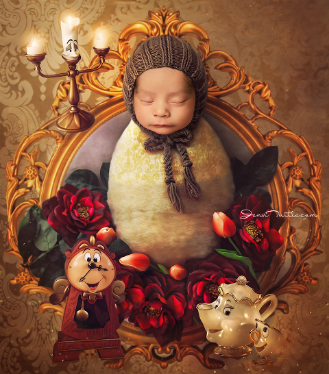 Newborn, Baby, Family, and Boudoir Photographer